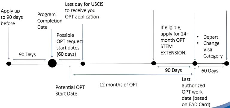 什么是OPT？2025最新OPT申请流程全解析——北美教育快报